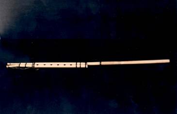 MESTO: Multi-Ethnic Star Orchestra